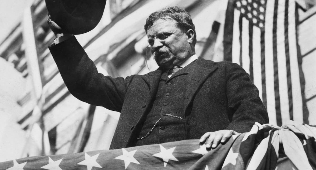 The Wisdom Of Theodore Roosevelt – Proteus Concepts